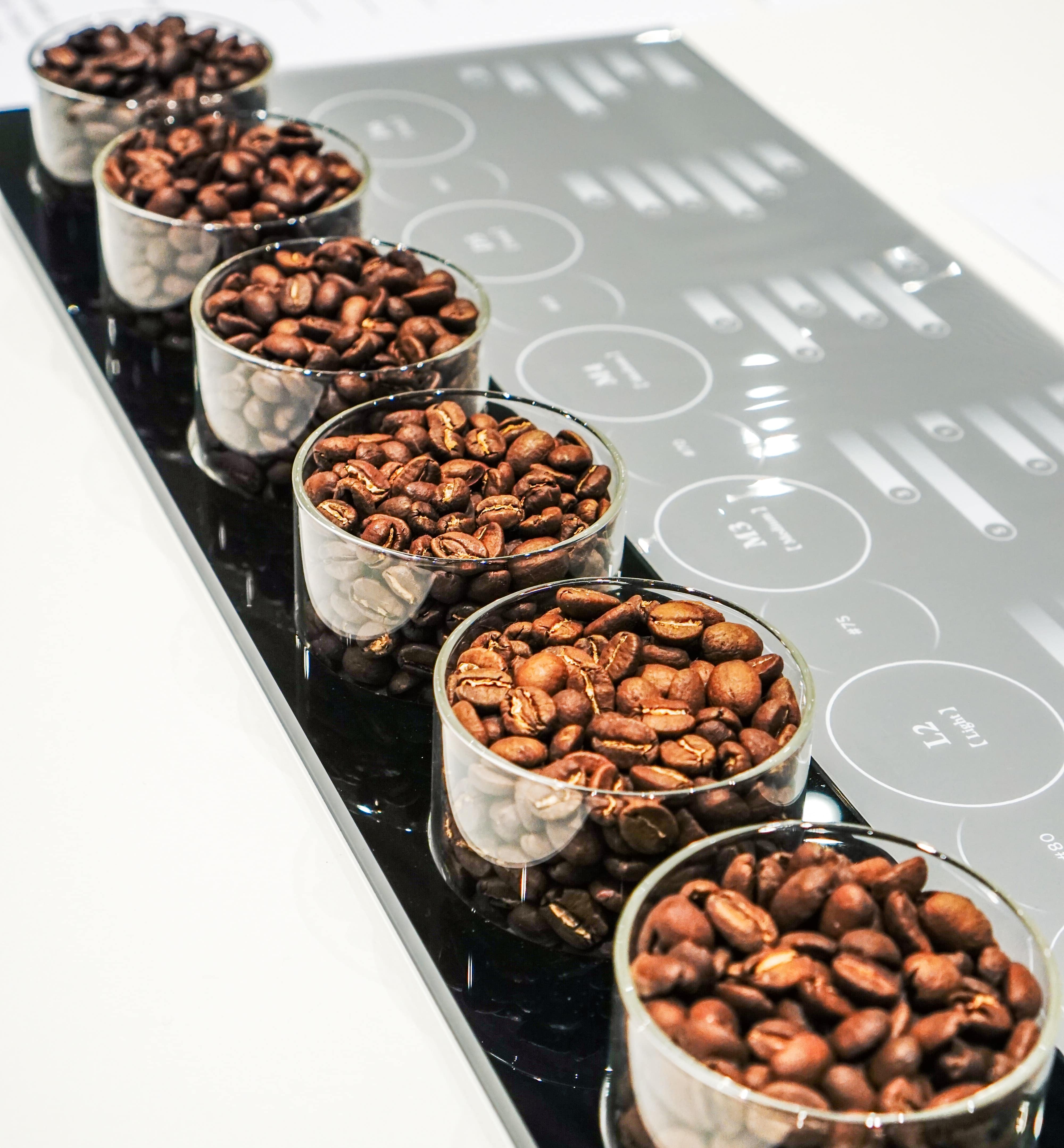 Premium Coffee Blends | Crafted & Roasted to Perfection | The Coffee ...